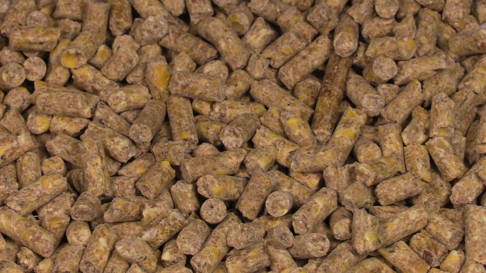 Home / Show Projects / Show Swine / Producers Show Feeds / POWER PIG ...