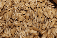 00021820crimped20oats-54.png
