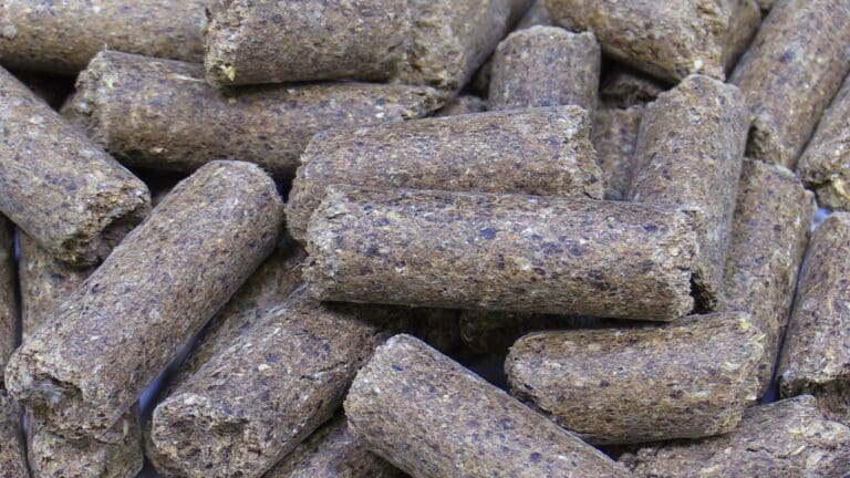 Home / Livestock / Cattle / Producers Pelleted and Cubed Feed / 20% ...