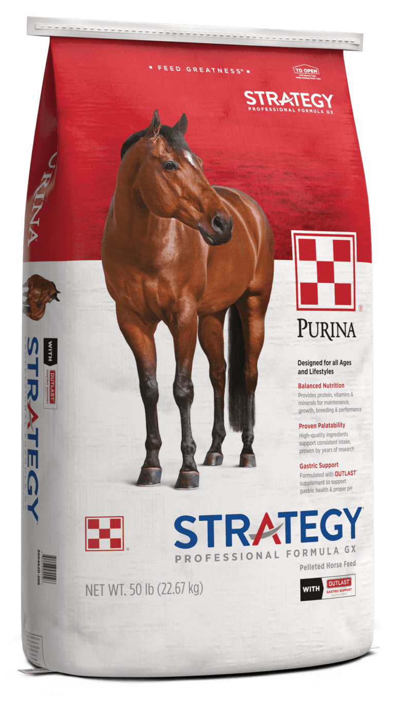 Purina Strategy GX Horse Pellet