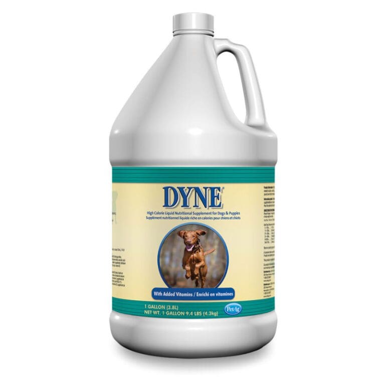 DYNE SUPPLEMENT GAL.