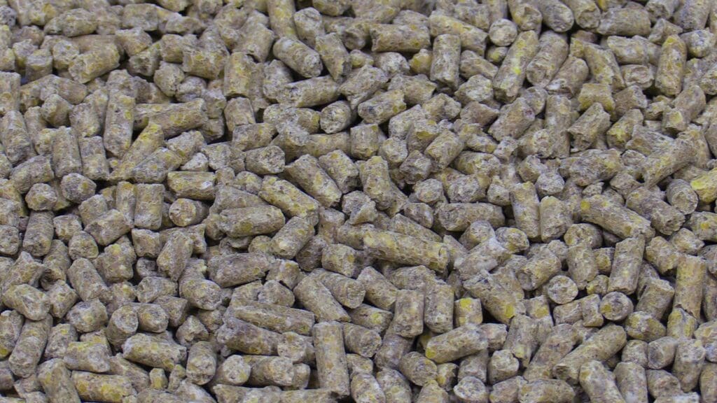 Home / Livestock / Swine / Producers Feed / 14% SWINE FINISHER PELLETS