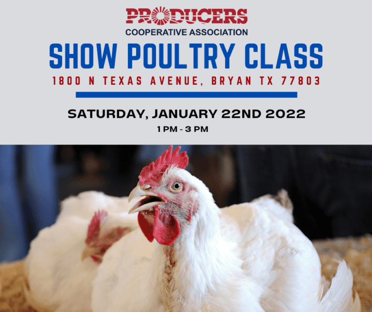 As always, our Saturday classes are free and open to the public, we ...