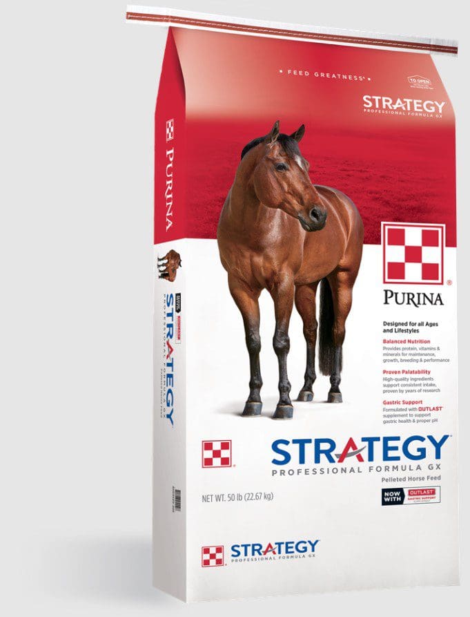 Purina20Strategy20GX.jpg