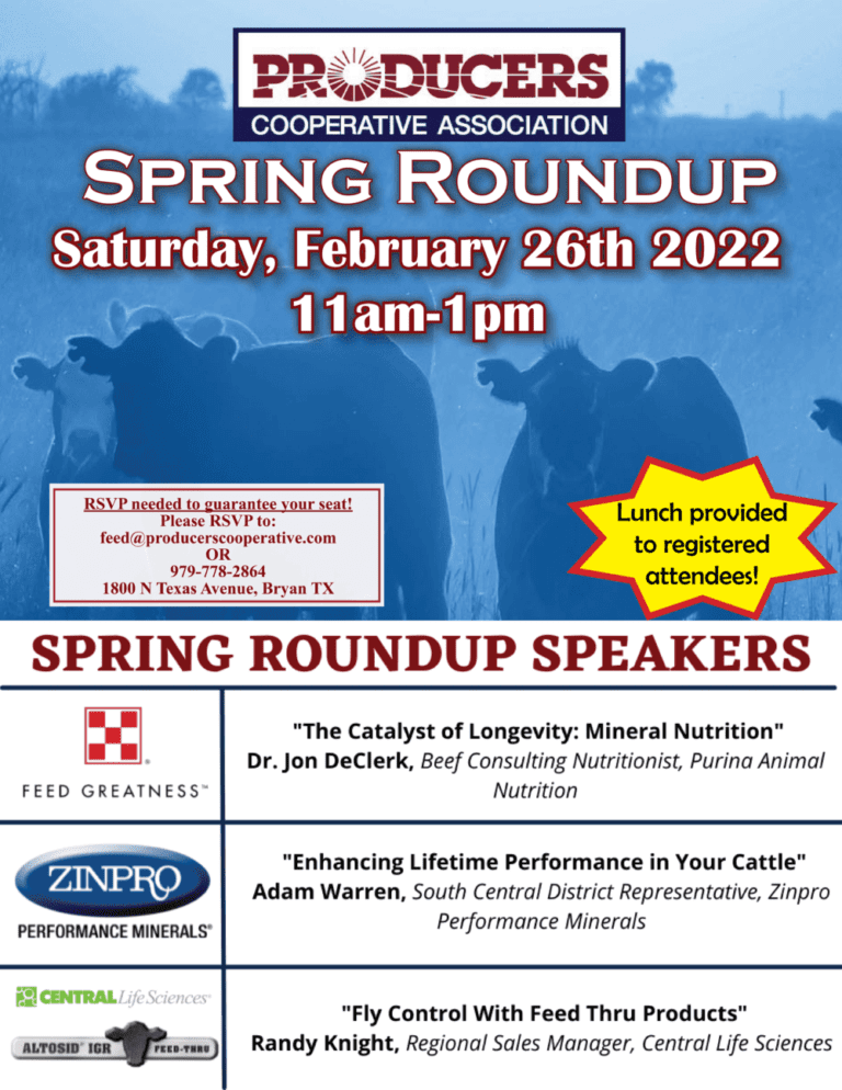 **Saturday, February 26th 11am-1pm**