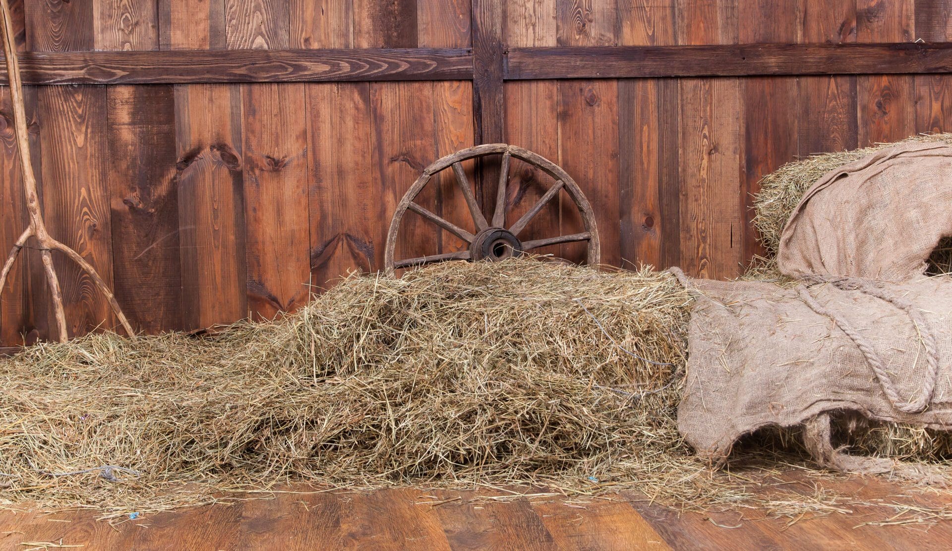 hay.jpg