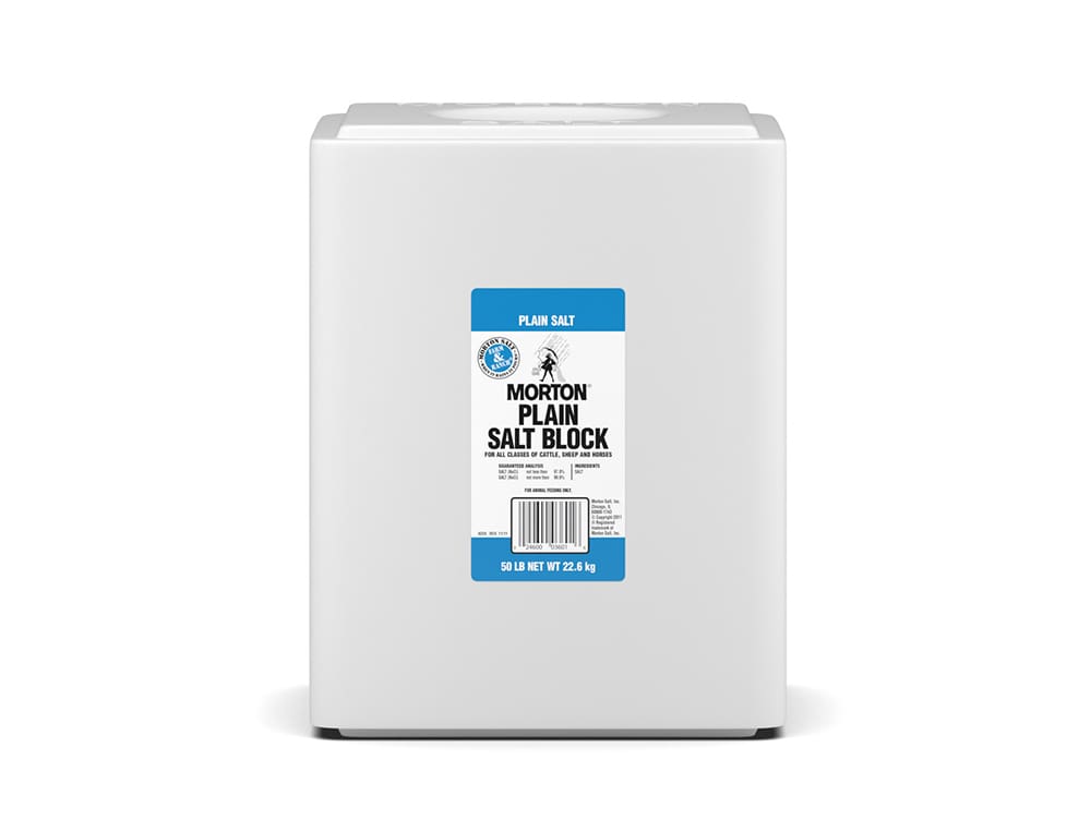 morton-plain-white-salt-block
