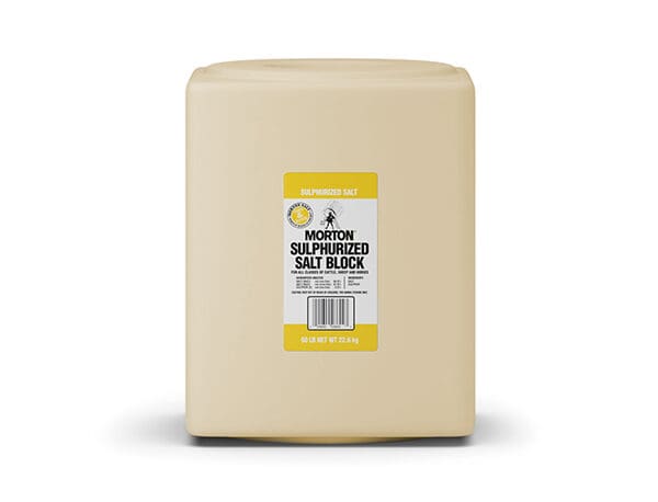 morton-sulphurized-salt-block